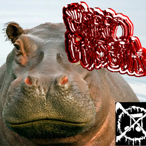 Stream HIPPO PHOBIA | Listen to Hippos Over Humans playlist online for ...