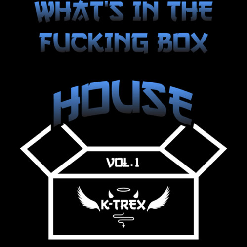 Stream WHAT'S IN THE F****** BOX HOUSE VOL 1 by KtrexDubz | Listen ...