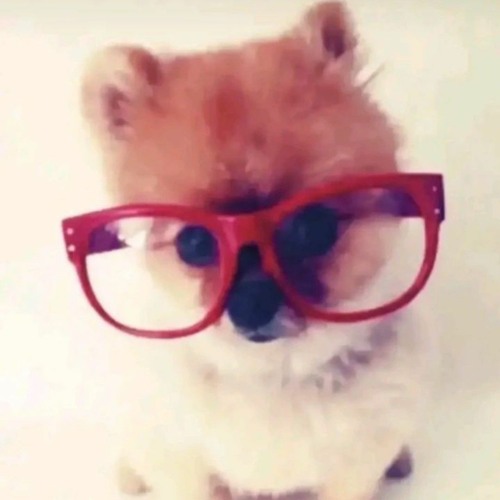 Stream I love being me 4jay exclusive by Axtu | Listen online for free ...