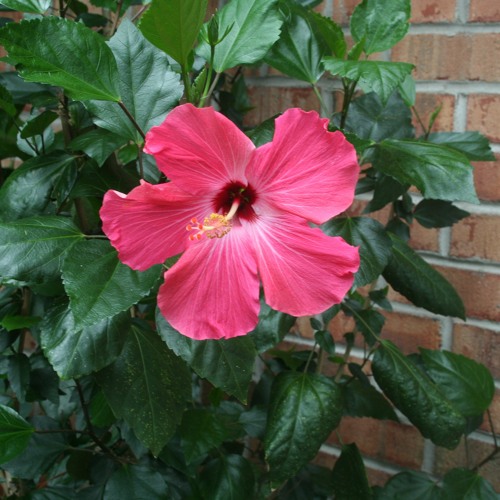 Stream Streets of Heaven - John Illsey Cover ZOOM0130.MP3 by Charlie ...