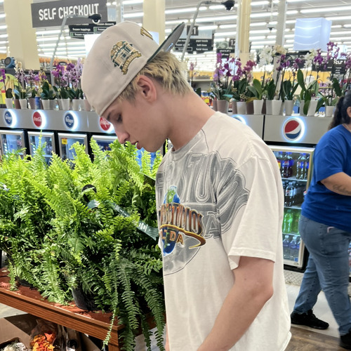 Stream poudii (prod eli, shinju, bark, bradxday) by Luna6below | Listen ...