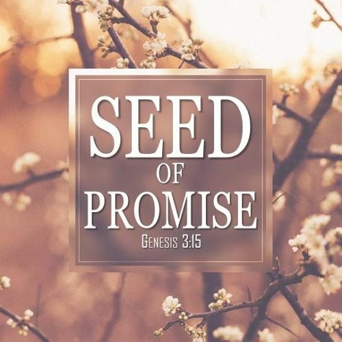 Stream Jesus in the OT: Seed of Promise (Genesis 3:15) by FBCOceanway ...
