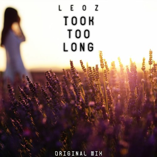 Stream Leoz - Took Too Long by Løw Code | Listen online for free on ... Stream Leoz - Took Too Long by Løw Code | Listen online for free on ...