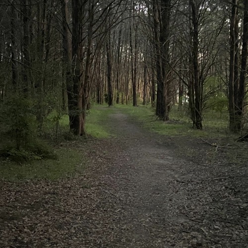 Stream must be nice - quinn by dxwn | Listen online for free on SoundCloud