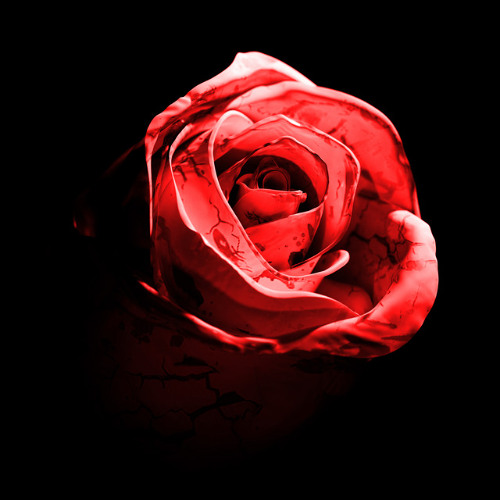 Stream D4vd - Romantic Homicide (Live) by D4vd | Listen online for free ...