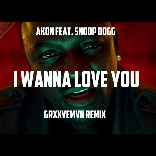 Akon I Wanna Love You Remix