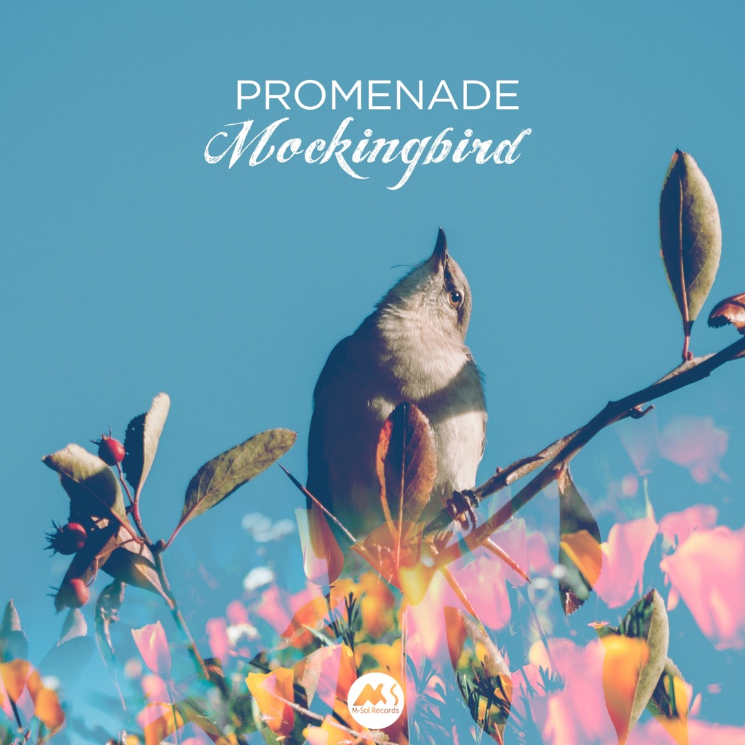 Stream Promenade - Mockingbird by M-Sol Records Music | Listen online ...