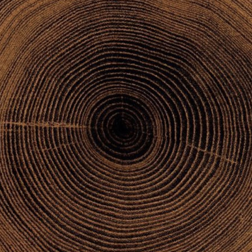 Stream Pond - Audio Diary 2 (March 30th, 2025) by Will Daye | Listen ...