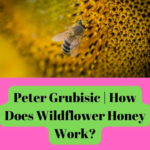 Stream Peter Grubisic | Types of Honey (Because, No, They Are Not All the Same) by ...