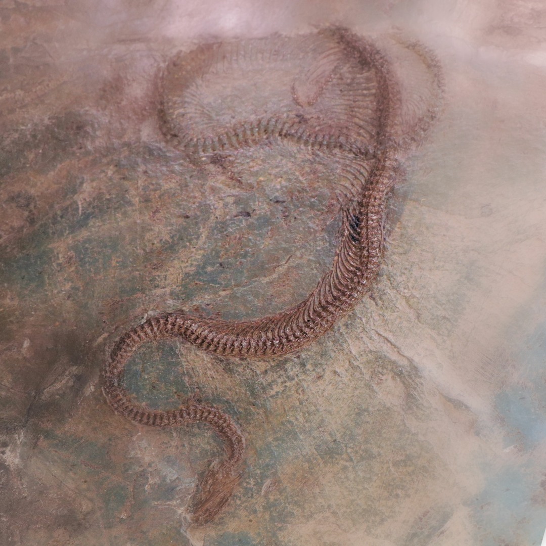 Stream u o et goomah prod tony turbo - bushou by goomah | Listen online ...