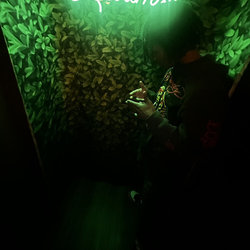 Stream LitoSlay-HOP OUT GANG!prodXOSHIIII. by LitoSlay | Listen online ...