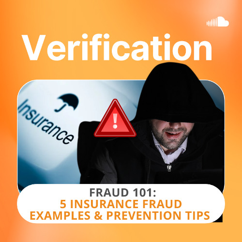 Stream Fraud 101: 5 Insurance Fraud Examples & Prevention Tips by ...
