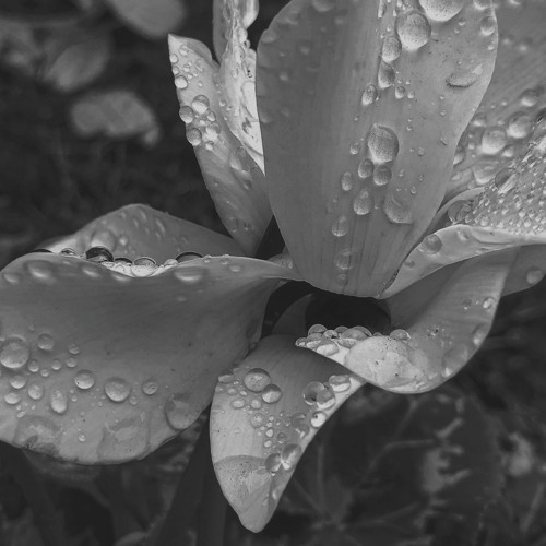 Stream Emily Rae - "Hidden Treasures" by emrae | Listen online for free ...