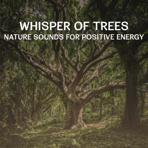 Stream Energy Water Sound Effect by Deep Relaxation Exercises Academy ...