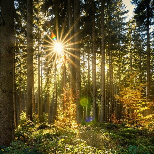 Stream Welcome To Primavera (Mix Septiembre 2022) by salva ...