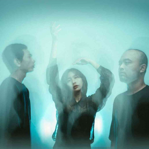 Stream MANGU DISCO by Cris | Listen online for free on SoundCloud