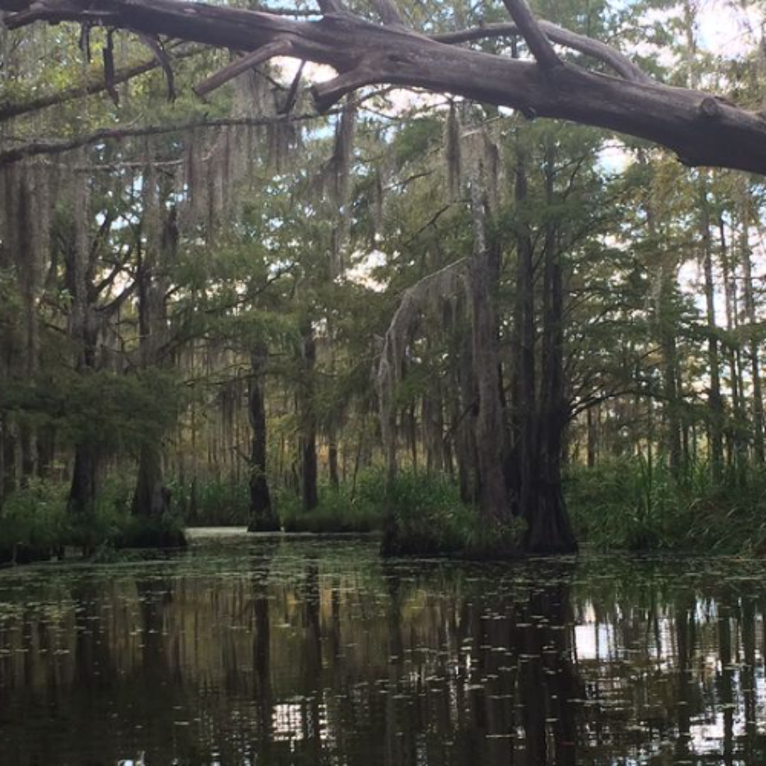 Stream 【Sukone Tei / CYBERDEVIL】The Abnomality【Utau Cover】 by 0lli-P ...