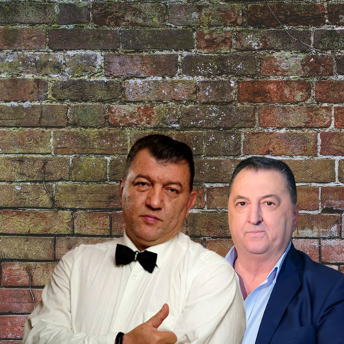 Stream MI-AS FACE O CASA IN PADURE by George Nicoloiu | Listen online ...