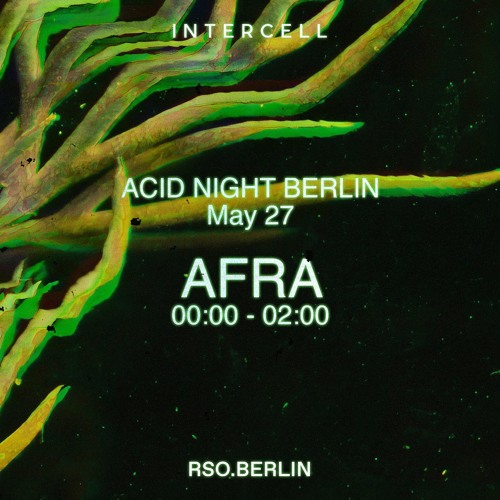 Stream Afra at Intercell - Acid Night - RSO Berlin 2022 by Intercell ...