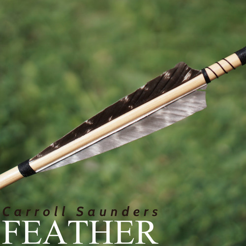 Stream The Soaring Think (feat. Don Almir) by Carroll Saunders | Listen ...