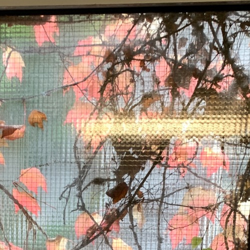 Stream QU - ST004 19 Proj12 Wie 003 by Toku Collector | Listen online ...