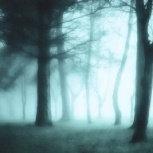 Stream oh, beautiful poison tree. by SADRIDE | Listen online for free ...