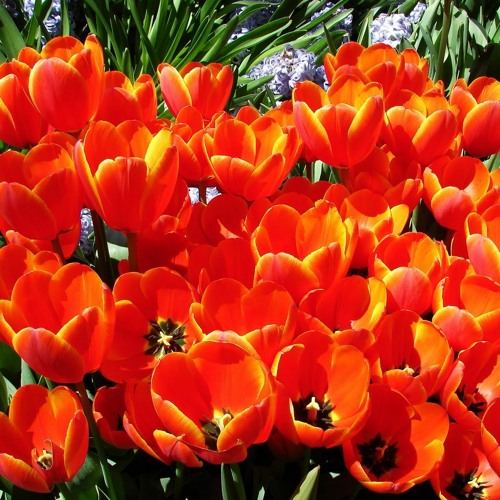 Stream 7 Loving OPP Cup The Grift Bixby Library 2023 by madtech ...