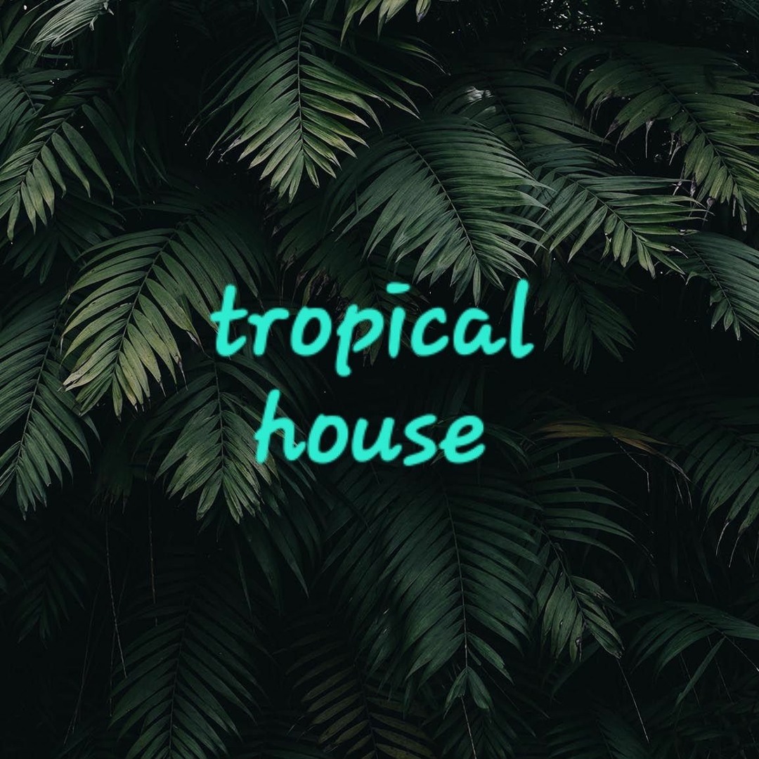 Stream sam patrick - tropical madness by sam patr1ck | Listen online ...