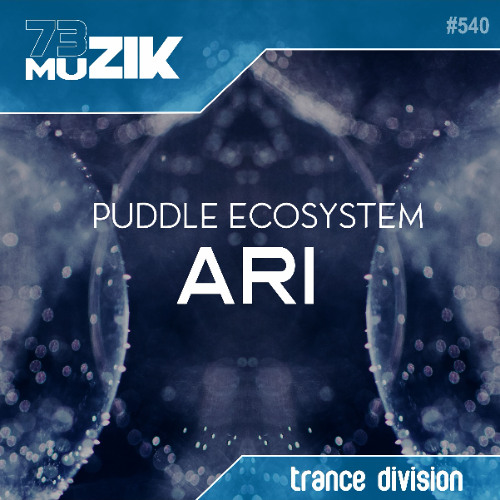 Stream Puddle ecoSystem - Ari by 73 MUZIK | Listen online for free on ...