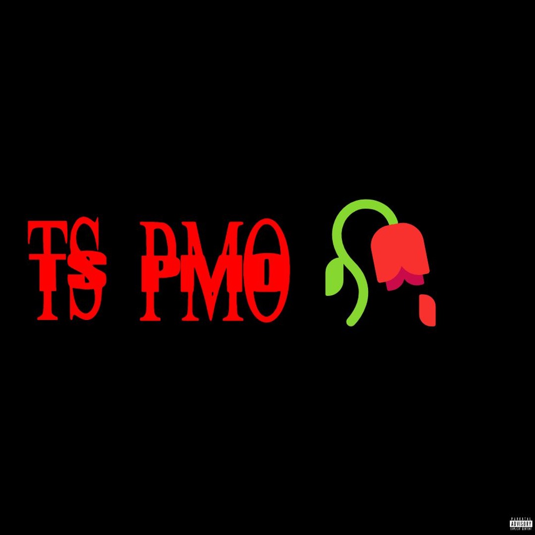 Stream TS PMO by Brenden Cwiklinski | Listen online for free on SoundCloud