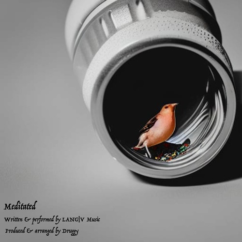 Stream MEDITATED (Prod. By Druggy) by Jason Langvee | Listen online for ...