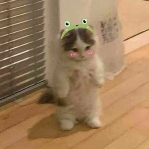 Stream adadadadadad.mp3 by whatthisyoshito? | Listen online for free on ...