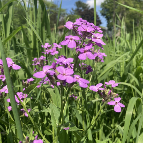 Stream The Light of the Sun is Too Bright by Daniel DeLay | Listen ...