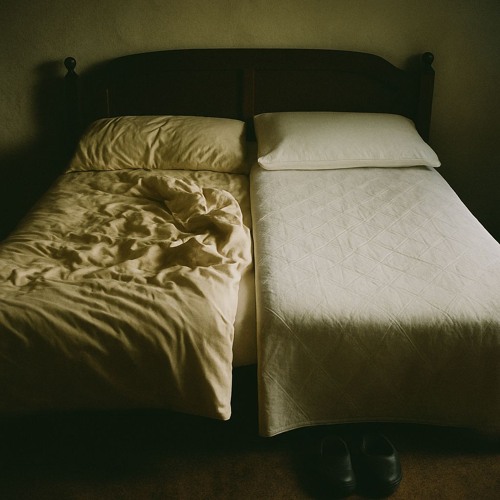 Stream She Closed the Door on Morning by Seamus O'Leary | Listen online ...