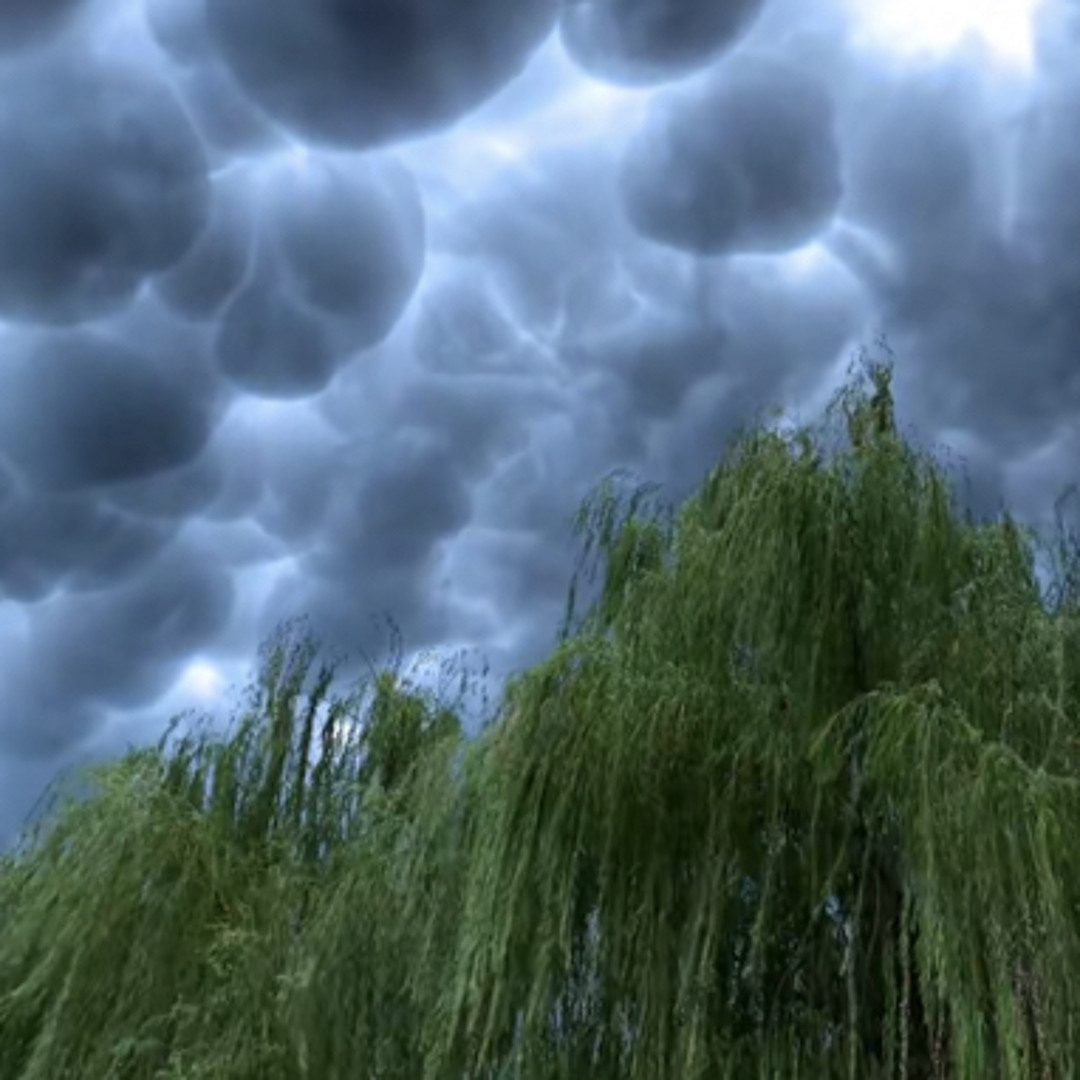 Stream Suffocation (Slowed+Reverb) “I always knew you were special” by ...