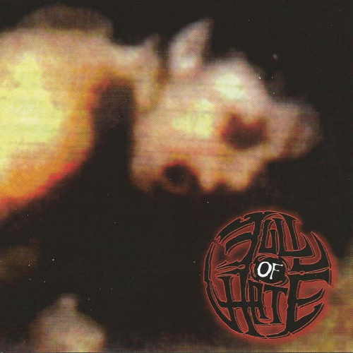 Stream Full Of Hate - 05 - L1 (ReMaster) by Scott Enns | Listen online ...