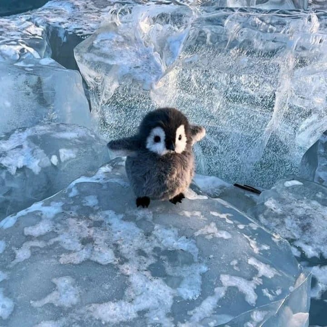 Stream Tip Toe - HYBS by AAA | Listen online for free on SoundCloud