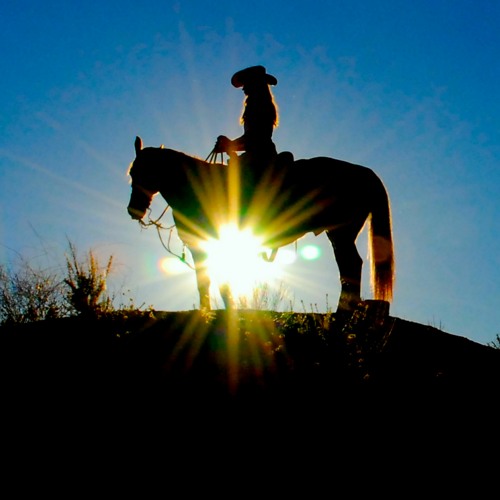 Stream episode Horsing Around Episode 1 w/Annika, Zach, Ada by ...