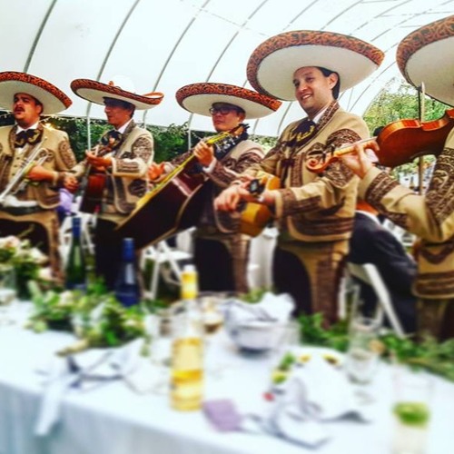 Stream La Llorona - Mariachi Los Dorados by vandgentertainment | Listen ...