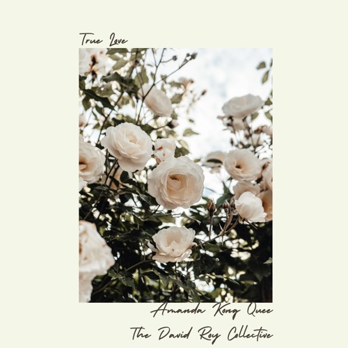 Stream True Love - The David Roy Collective by Brock Hewitt: Stories in ...