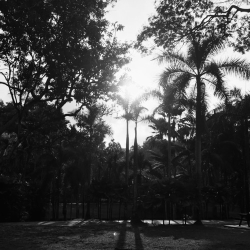 Stream Table Salt by Sanjeev Ram | Listen online for free on SoundCloud