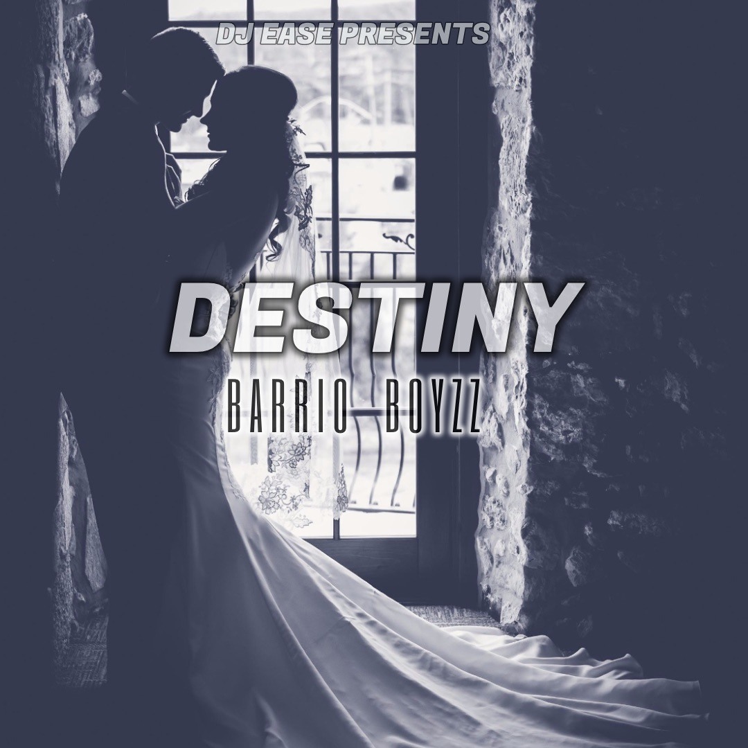 Stream DESTINY | BARRIO BOYZZ [ EASE RMX ] by DJ EASE | Listen online ...