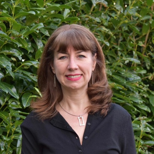 Stream The Story Behind the New Synod Working Document with Professor ...