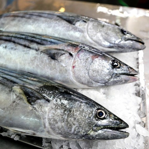 Stream Semana Santa: ¿qué tanto pescado comemos los peruanos? by ...