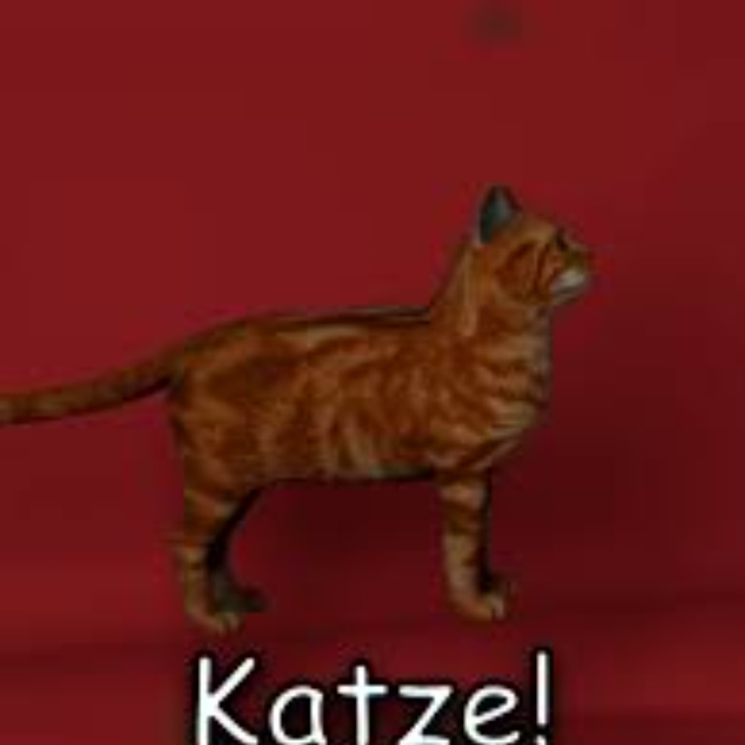 Stream Horizontal Rotierende Katze (ft. USB type B speichergerät) by ...