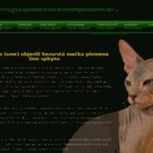 Stream Prepricana Lektira Dozivljaj Macka Tose Na 70 by Ininnani ... Stream Prepricana Lektira Dozivljaj Macka Tose Na 70 by Ininnani ...