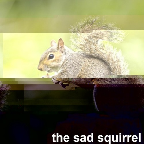 Stream the sad squirrel (.it) by archive94 | Listen online for free on ...