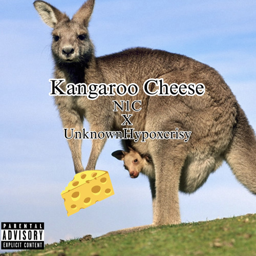 Stream Kangaroo Cheese ( ft UnknownHypoxcrisy ) by Rockstar N1C ...