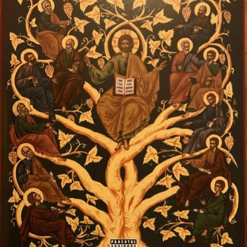 Stream 2C'EL | Listen to Indigenous Plant playlist online for free on ...