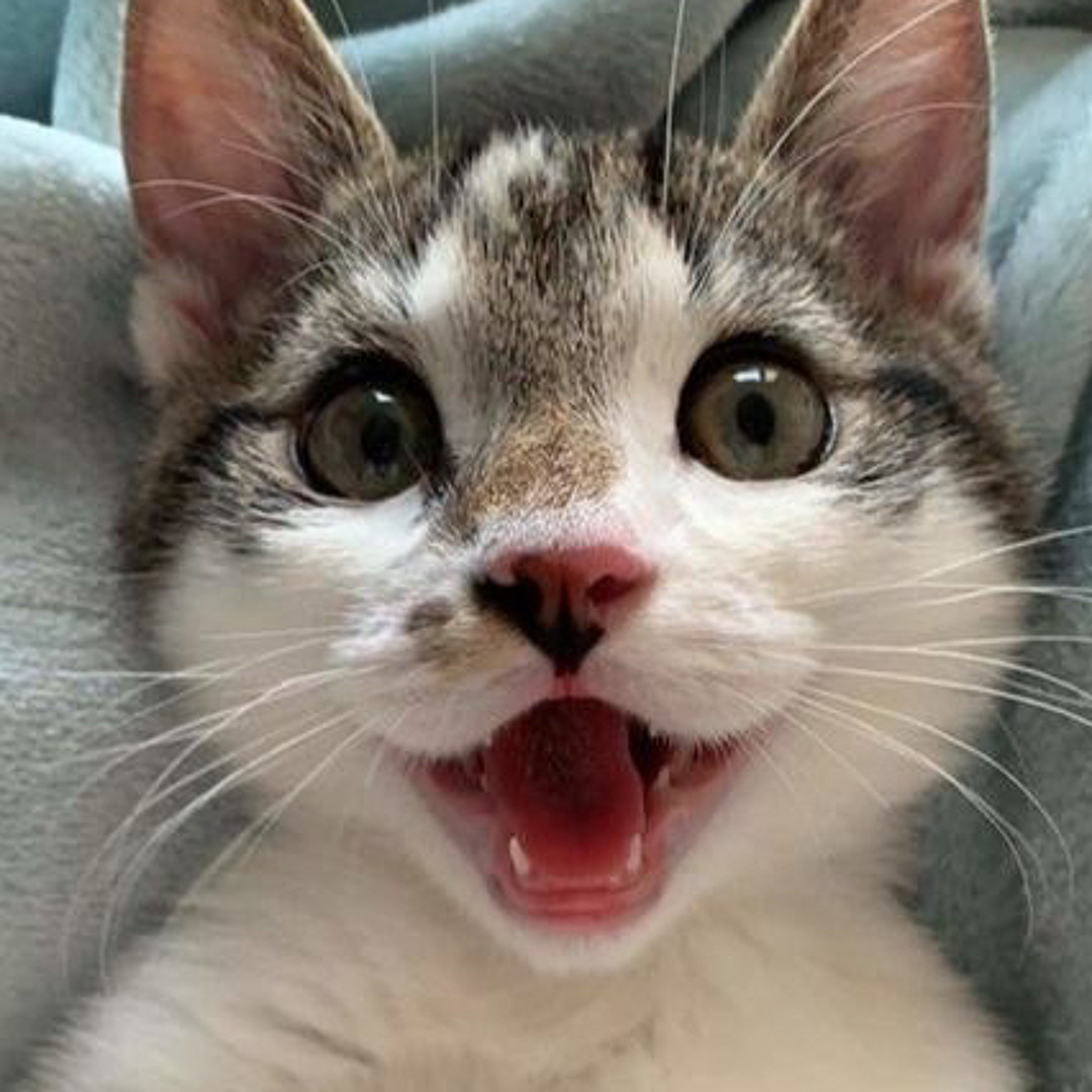 Stream Hidamari Sketch - Hiro - Strawberry Romance by squeet | Listen ...